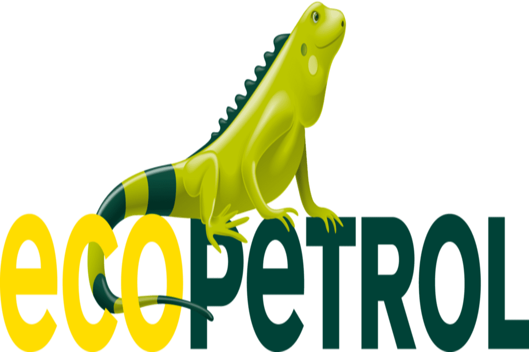 ¿Peligra la presidencia de Ricardo Roa en Ecopetrol? - La Nota Económica