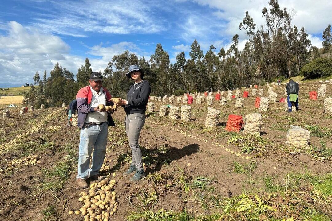 McCain Foods sobresale por sus avances en sostenibilidad en el agro ...